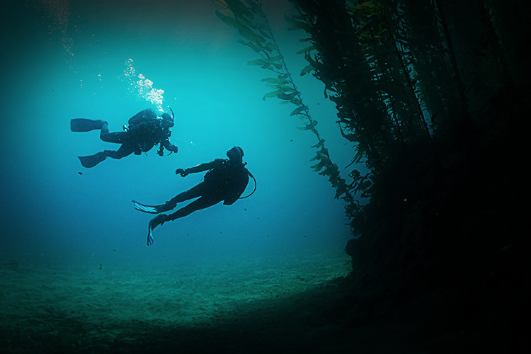 Tec40 – TecDiver Kurs - diveXellence - Tauchschule Ulm